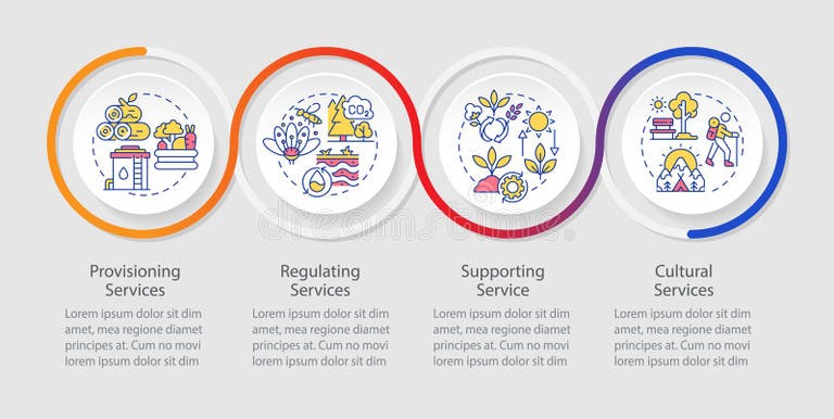 Ecosystem Services Infographics Circles Sequence Stock Vector ...