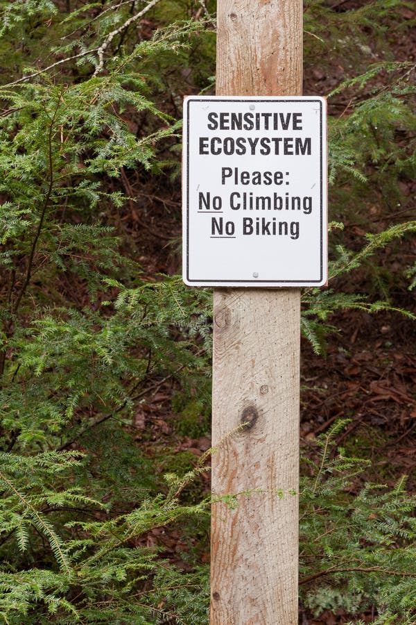 Fragile Vegetation Sign On Trail Stock Photo - Image of landscape ...