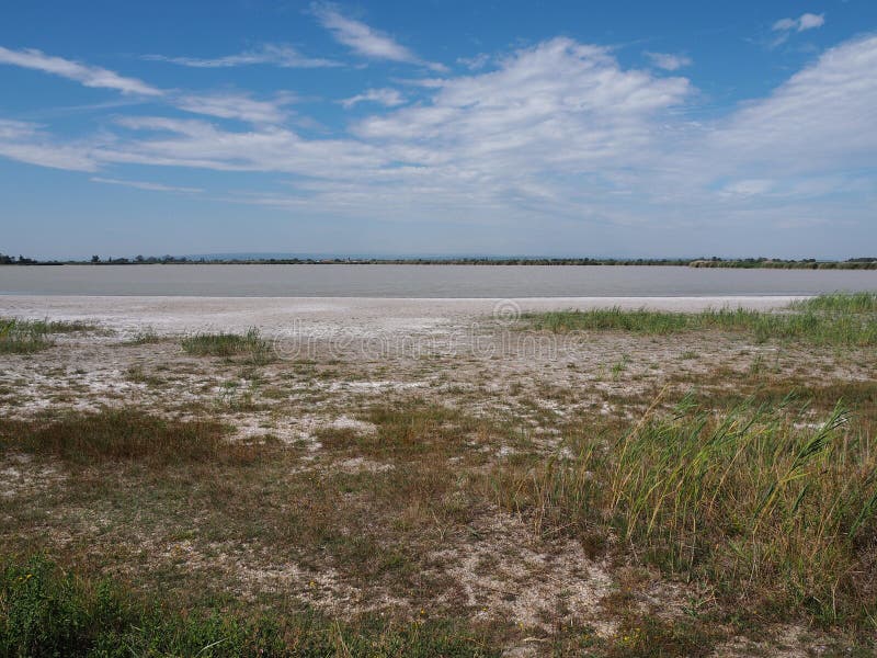 Ecosystem, Wetland, Marsh, Salt Marsh Stock Image - Image of river ...