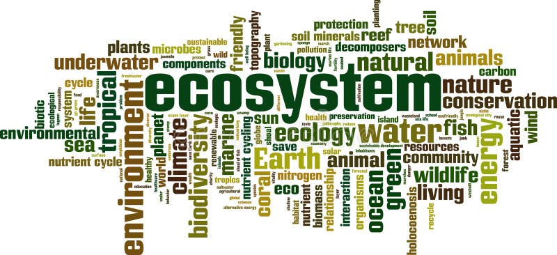 Ecosystem word cloud stock vector. Illustration of components - 287111631