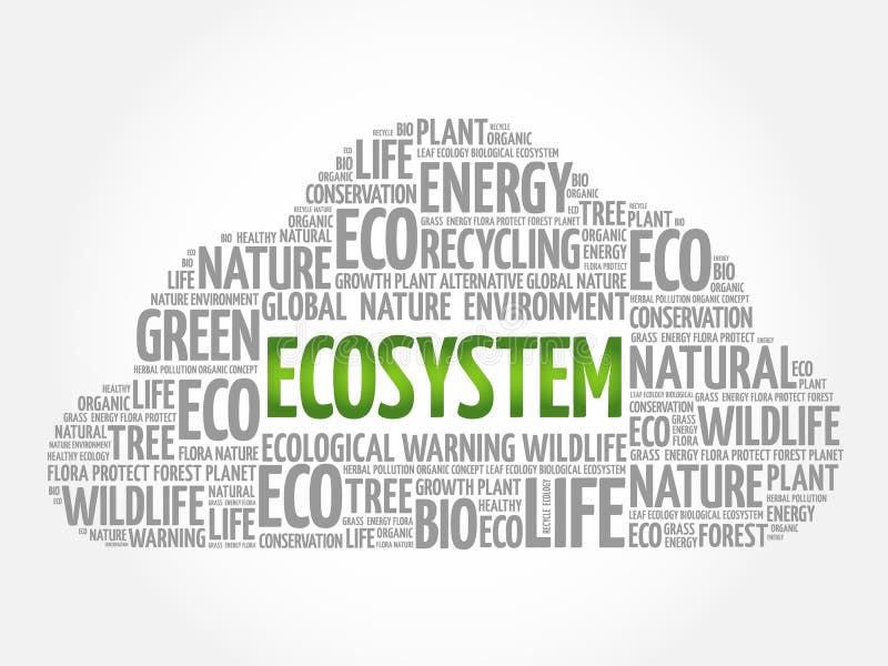 Ecosystem word cloud stock vector. Illustration of microbes - 284210987