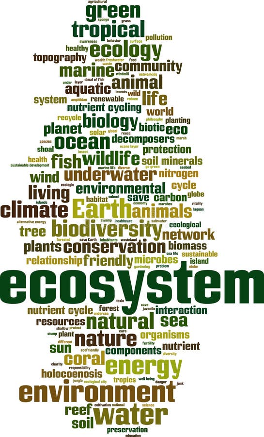 Ecosystem word cloud stock vector. Illustration of components - 287111631