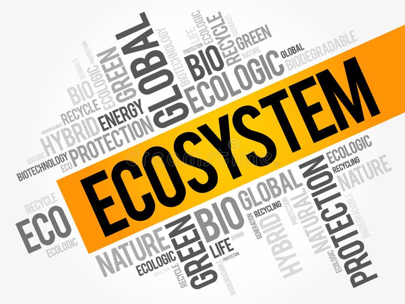 Ecosystem word cloud stock vector. Illustration of animals - 175082617