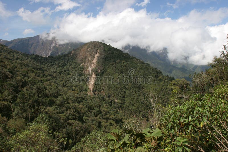 1,829 Highlands Andes Ecuador Stock Photos - Free & Royalty-Free Stock ...