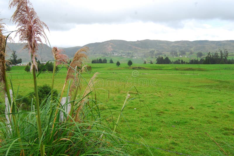 Ecuador Panoramic View of a Green Valley with Small Houses and Trees ...