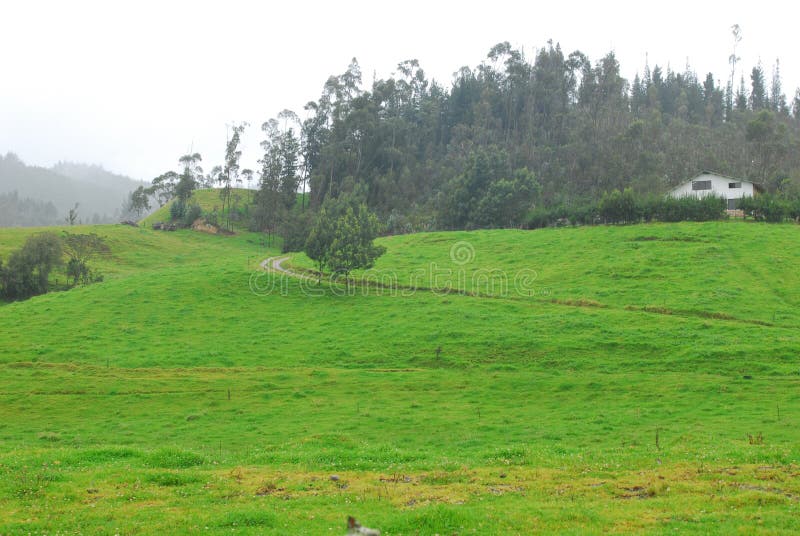 Ecuador Panoramic View of a Green Valley with Small Houses and Trees ...