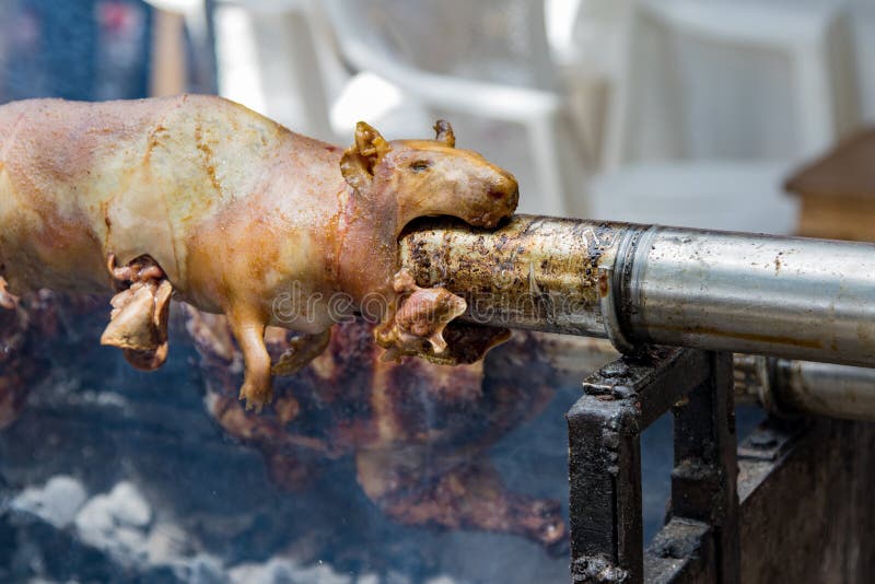Ecuadorian Cuy Being Roasted on Spit Stock Photo - Image of dinner ...