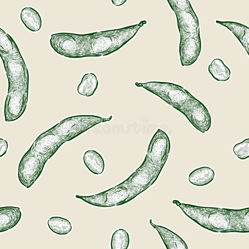 Edamame Stock Illustrations – 872 Edamame Stock Illustrations, Vectors ...