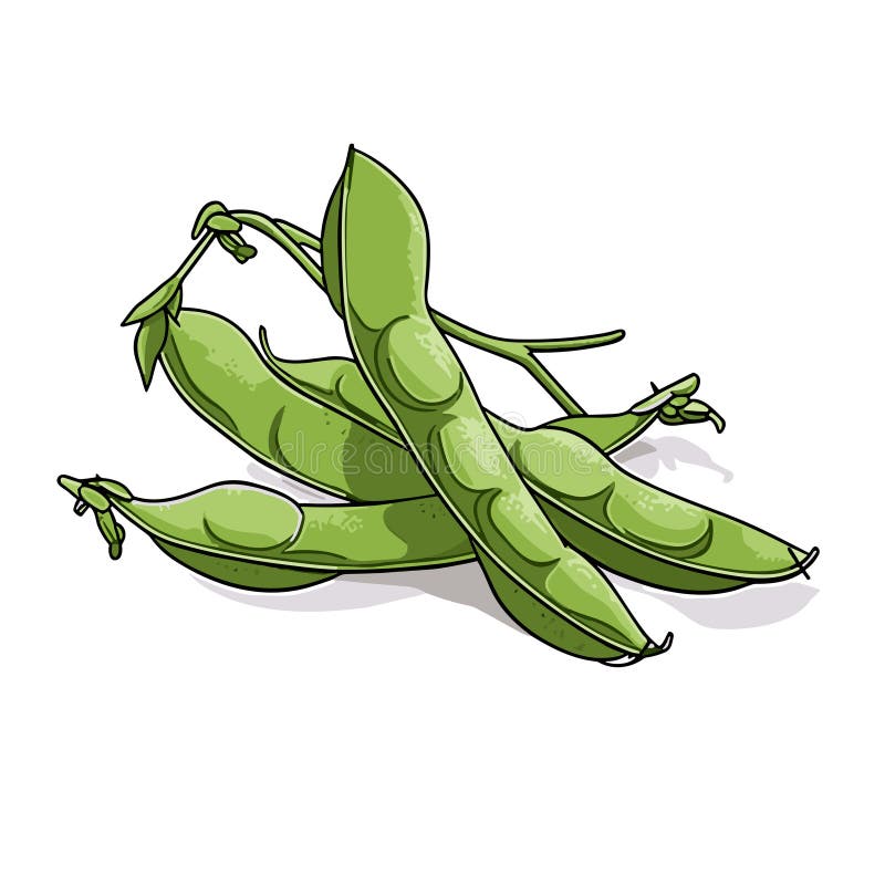 Cartoon Edamame Stock Illustrations – 218 Cartoon Edamame Stock ...