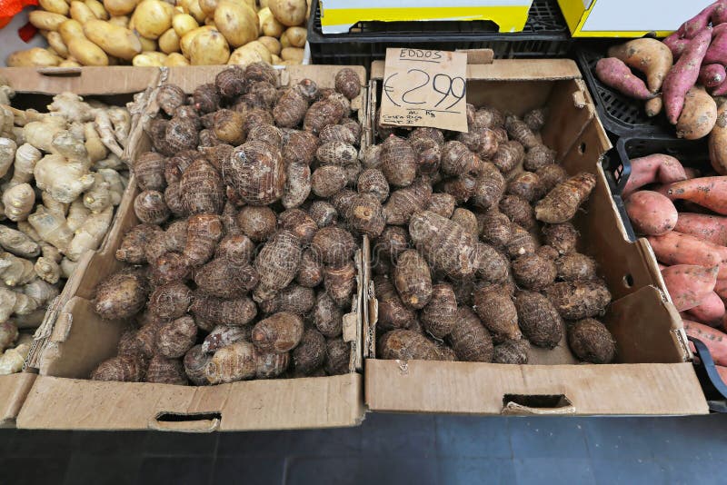 Eddoe a Tropical Root Vegetable Stock Photo - Image of taro, exotic ...