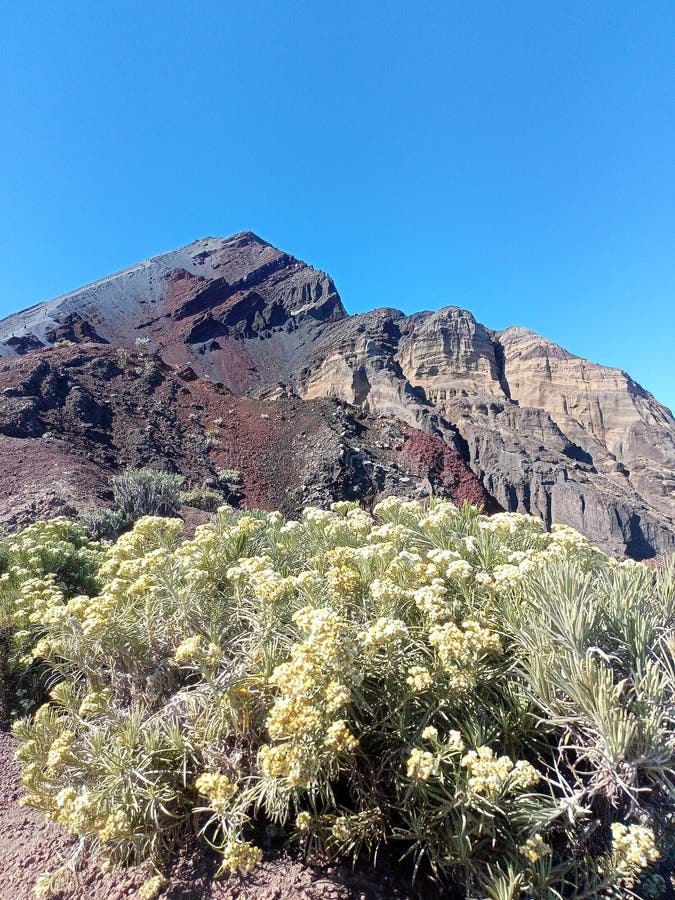 Letter E Rinjani Stock Photos - Free & Royalty-Free Stock Photos from ...