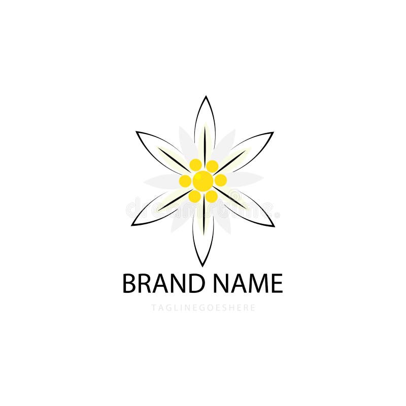 Edelweiss Flower Icon Template Illustration Stock Vector - Illustration ...