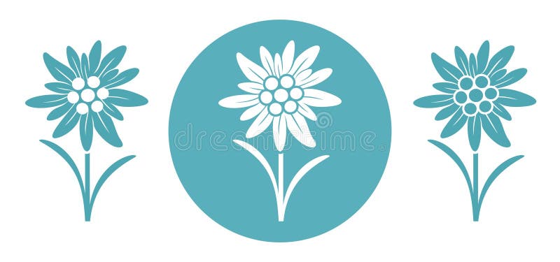 Edelweiss Logo. Isolated Edelweiss on White Background Stock Vector ...