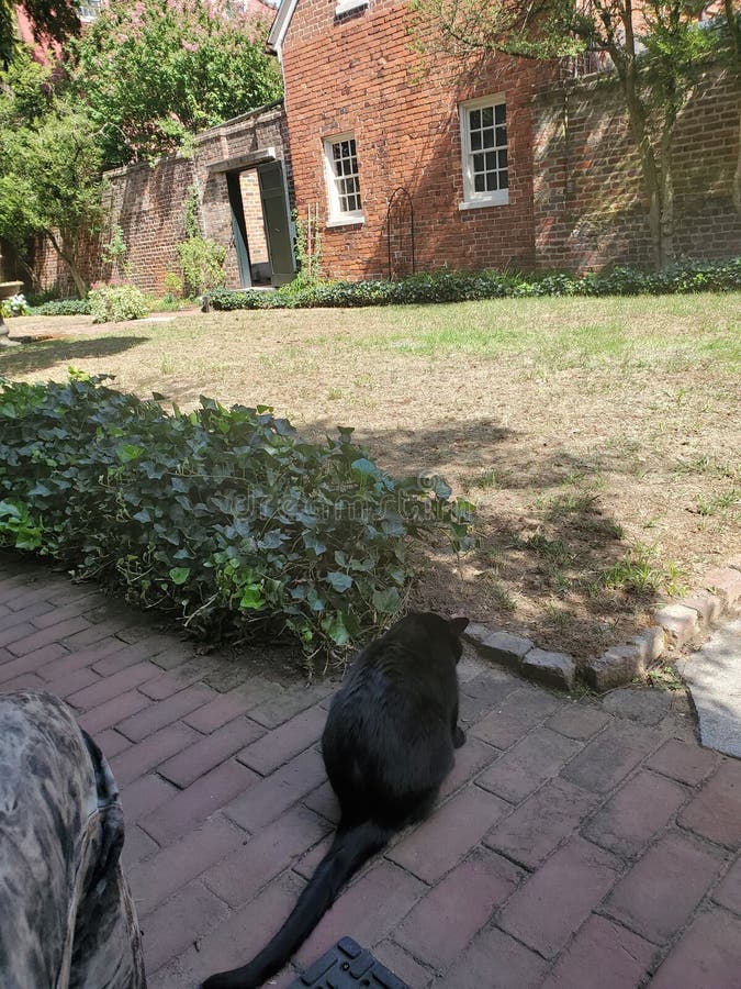 Edgar Allen Poe Museum and Black Cat Editorial Photo - Image of edgar ...