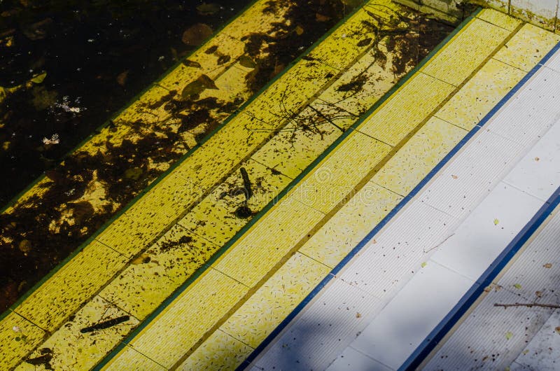 Edge of an Abandoned Swimming Pool with Dirty Water Stock Image - Image ...
