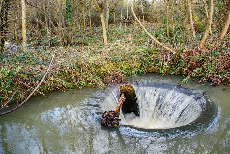 On the Edge of the Abyss, in the Woods Stock Photo - Image of nature ...