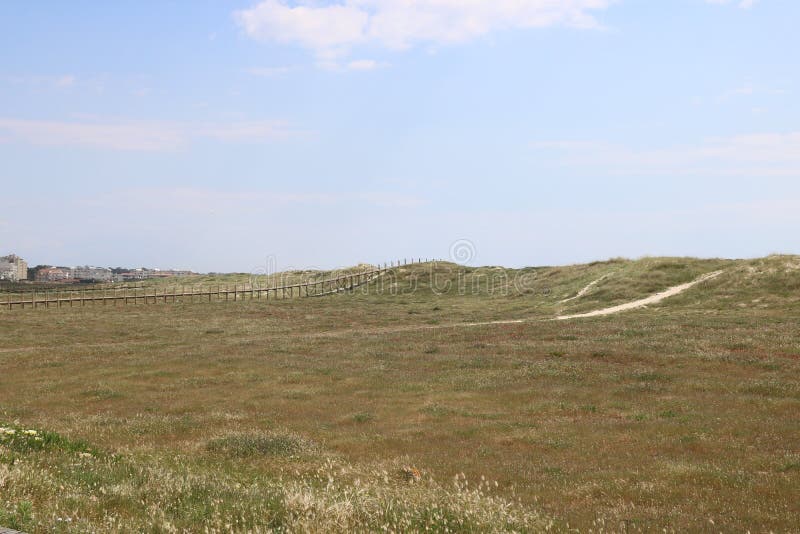 On the Edge of the Beach Nature Stock Image - Image of nature, coffee ...