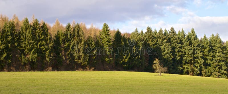 Edge of the Black Forest stock photo. Image of outdoor - 38907010