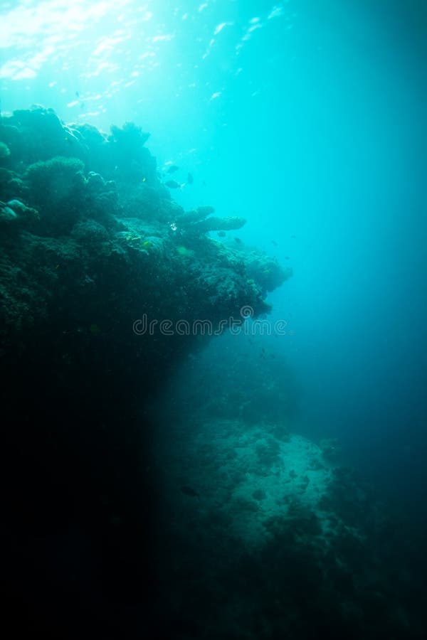 Edge of the deep stock photo. Image of undersea, nature - 22854178