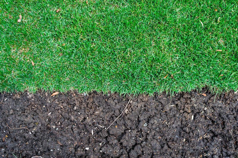 Edge of Grass Turf Ending at Fertile Dirt. Stock Image - Image of grass ...