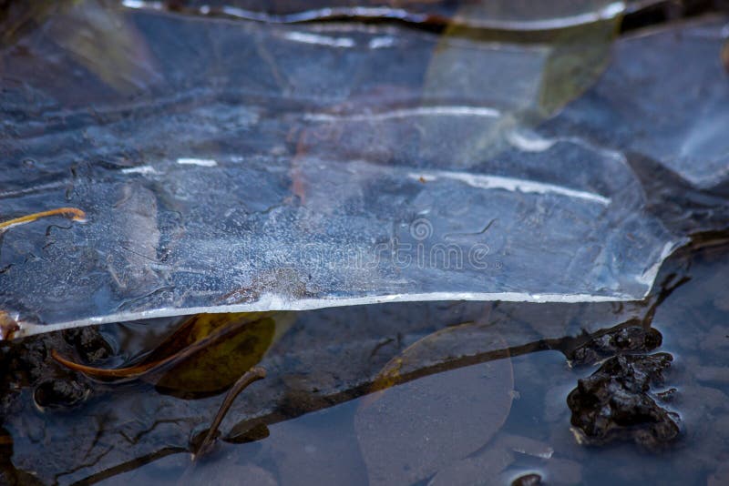 An Edge of a First Thin Layer of Ice in a Puddle in Autumn Stock Image ...