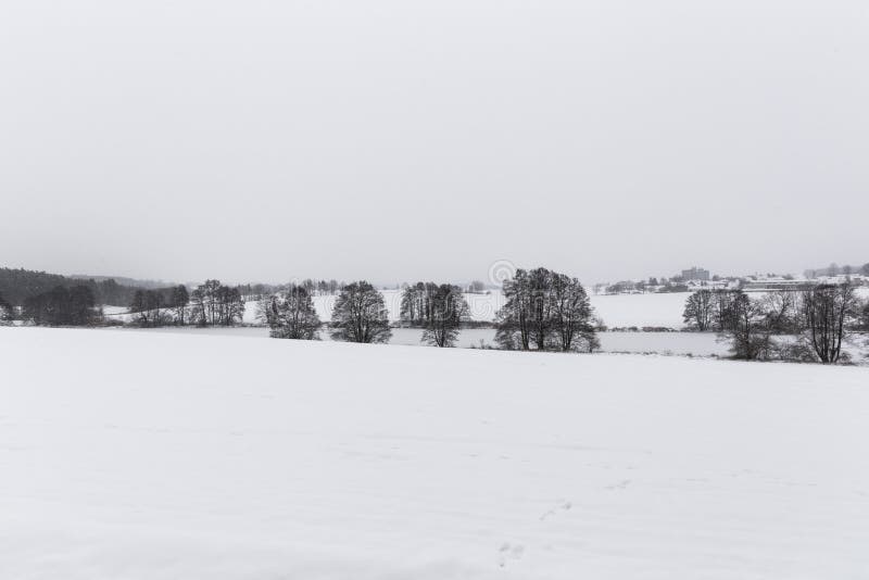 Edge of the Forest is Covered with Snow. the Snow-covered Field and ...