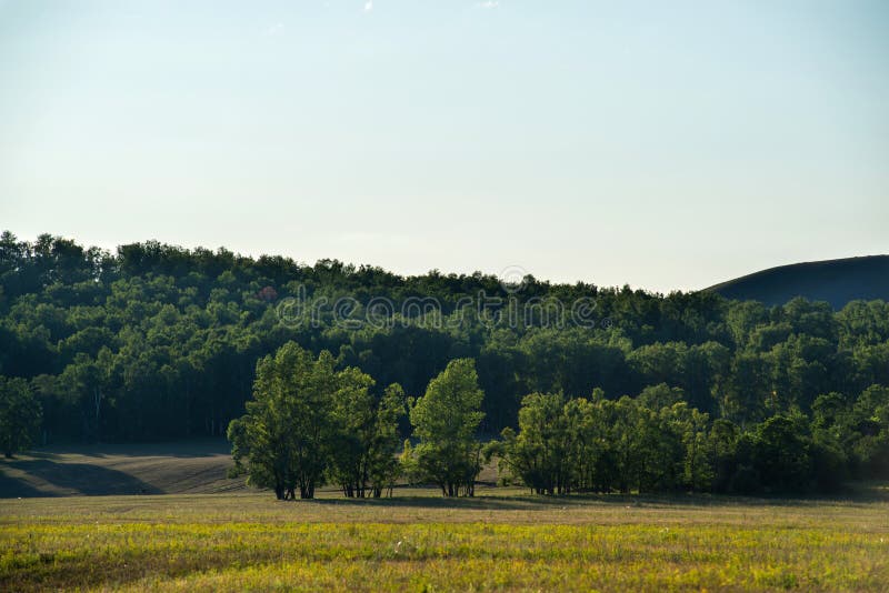 The Edge of the Forest in the Rays of the Setting Sun Stock Photo ...
