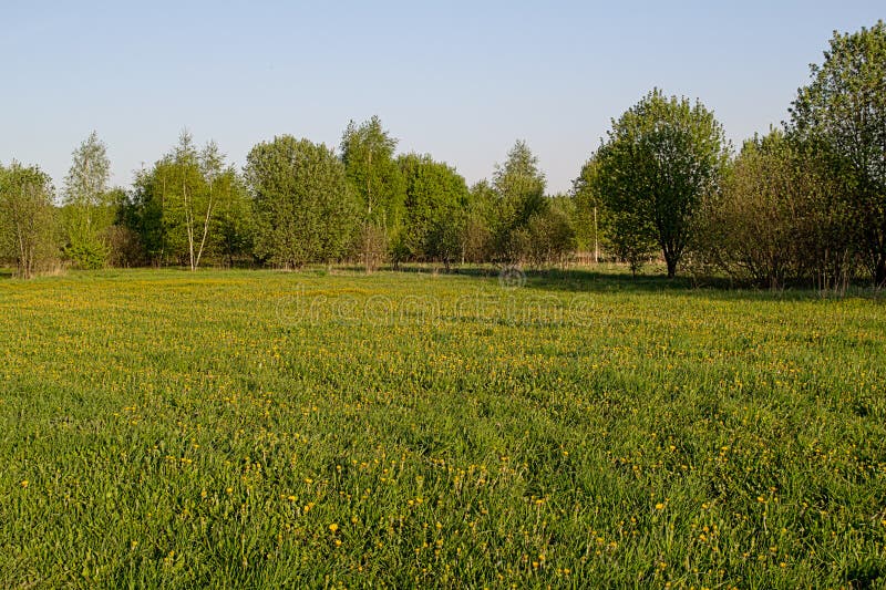 The Edge, the Edge of the Forest, it Represents a Kind of Border ...