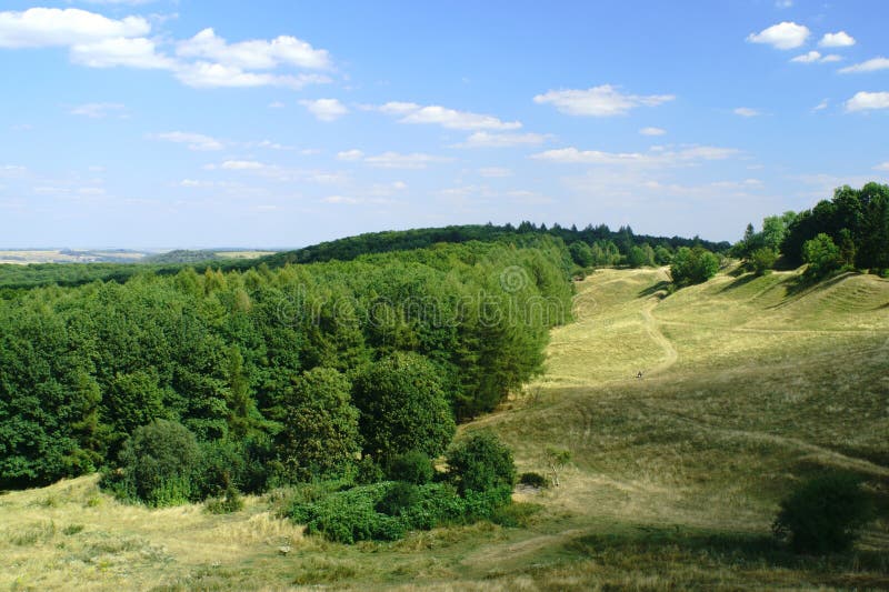 Edge of the Forest stock photo. Image of wood, sunny - 75868300
