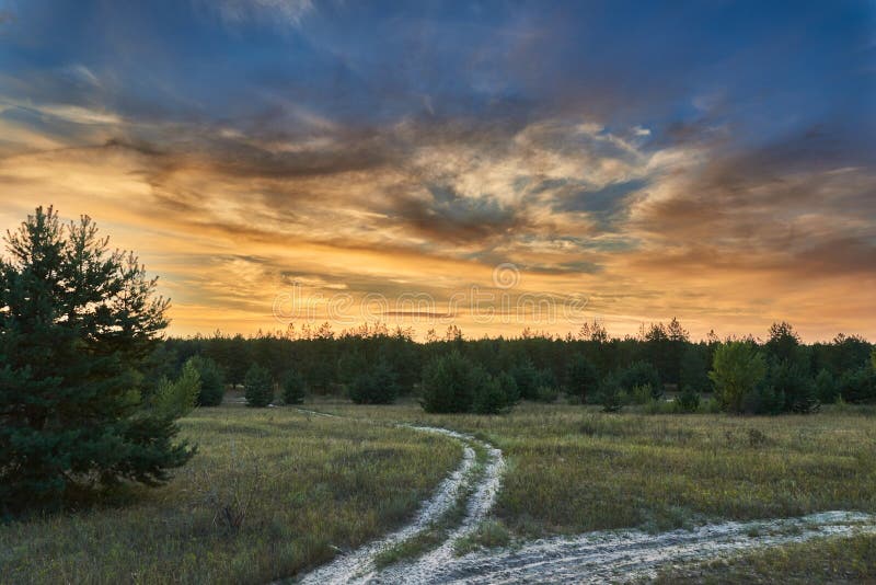 The edge of forest. sunset stock photo. Image of country - 121303856