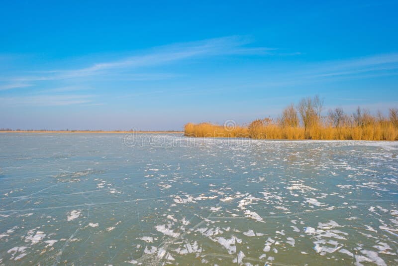 The Edge of a Frozen Pond in Sunlight in Winter Stock Image - Image of ...