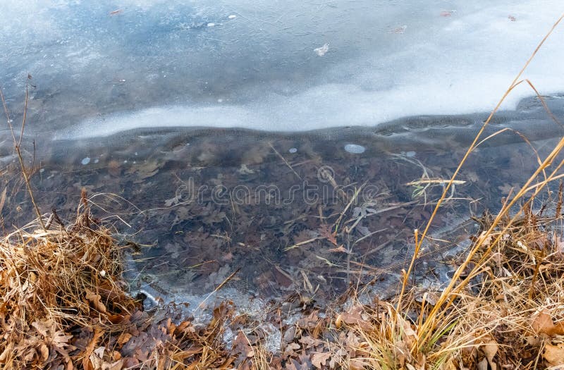 Edge of Ice on Lake in Forest Stock Photo - Image of lake, snow: 305703170