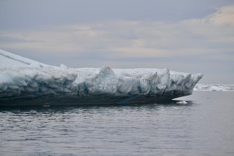 Edge of Long Flat Iceberg in Twillingate Harbour Stock Image - Image of ...