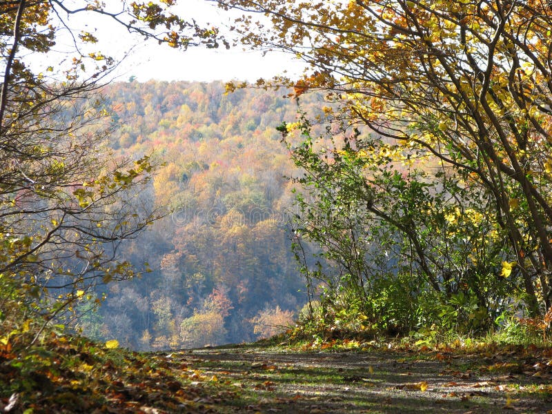 Edge of Mountain Cliff Overlooking Autumn Foliage Stock Image - Image ...