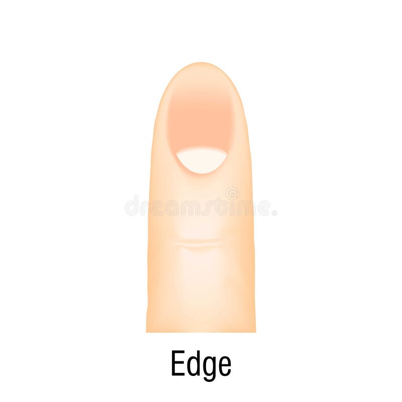 Edge Nail Design Icon Cartoon Vector. Form Studio Stock Illustration ...
