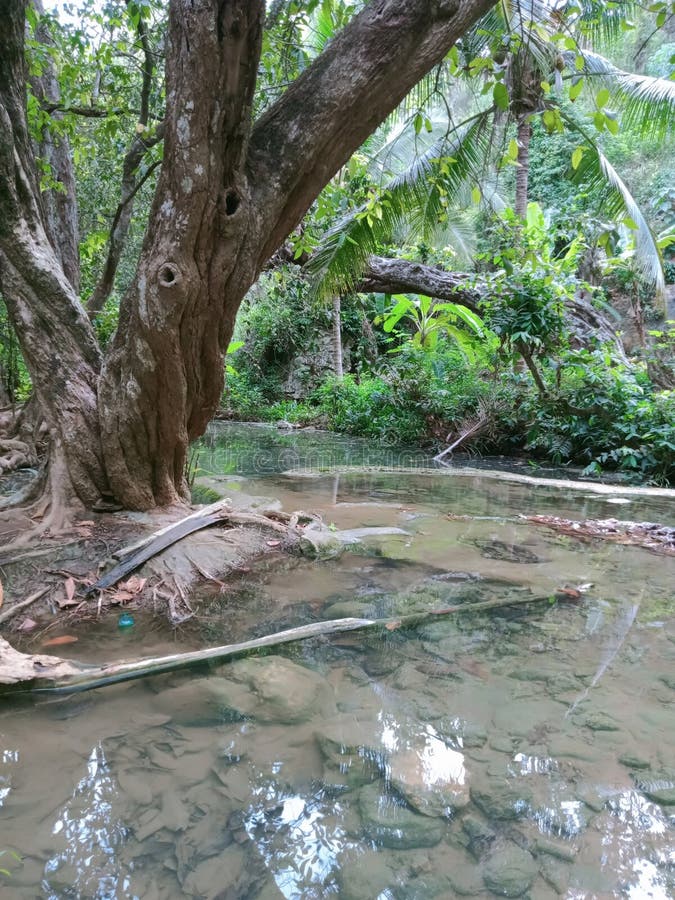 On the Edge of the Quiet Forest There is a Source of Clear and Cool ...