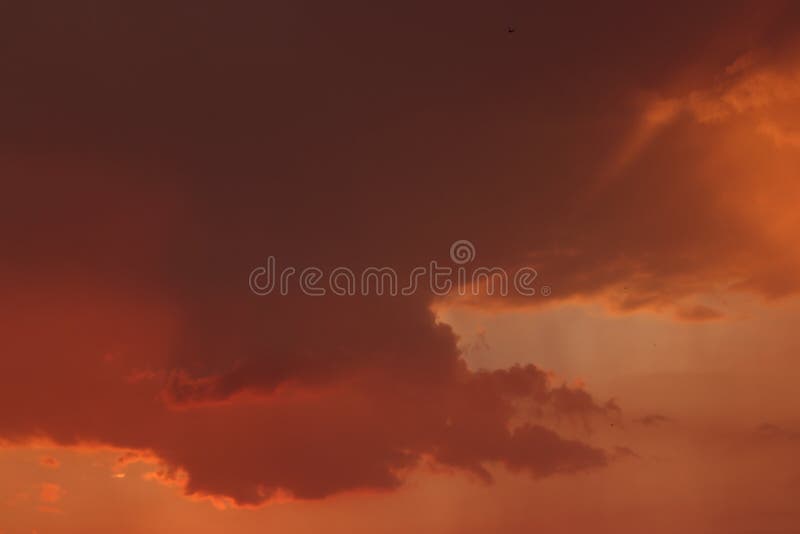 Edge of Rain Cloud in Warm Sunset Light. Stock Photo - Image of birds ...