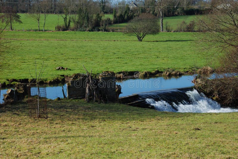 Edge of a river stock image. Image of grass, edge, tranquil - 102231419