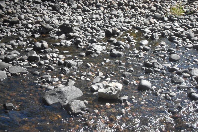 Edge of River stock photo. Image of wanapitei, canada - 60310258