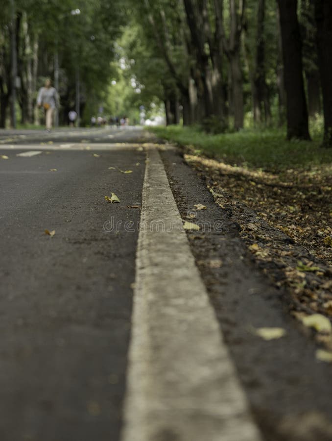 The edge of the road stock photo. Image of paint, photograph - 225194552