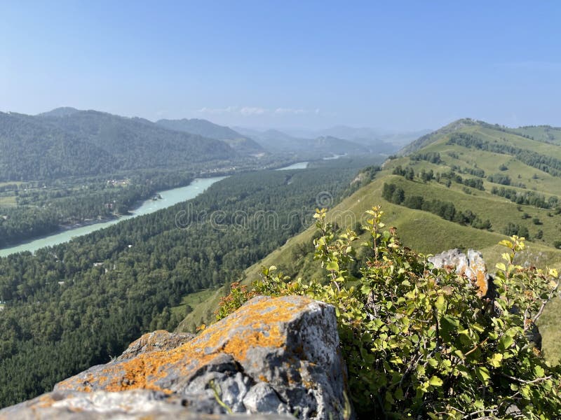 The Edge of a Rocky Cliff and Dense Forest in the Valley, Against the ...