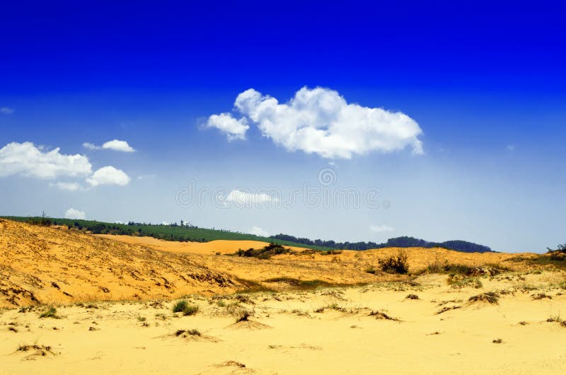 On Edge of Sand Dunes. stock image. Image of plant, sand - 32536427