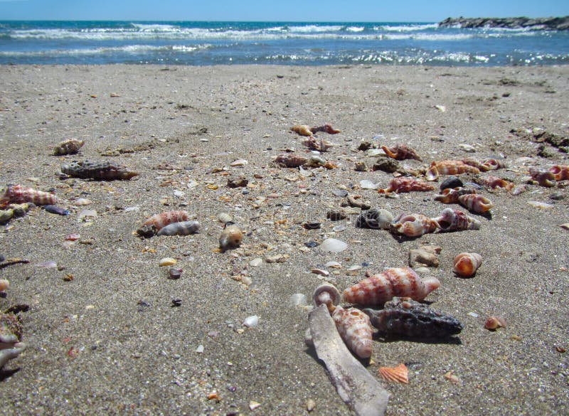 Edge of the sea stock photo. Image of coastline, france - 70955500