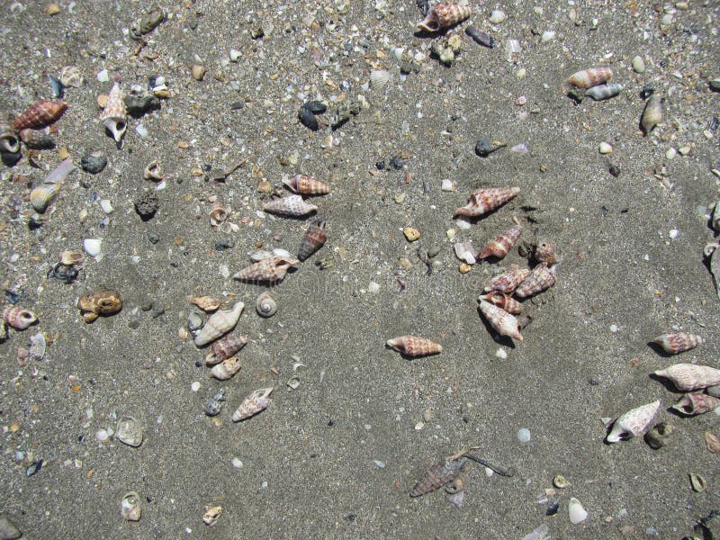 Edge of the sea stock photo. Image of relaxing, wave - 70957164