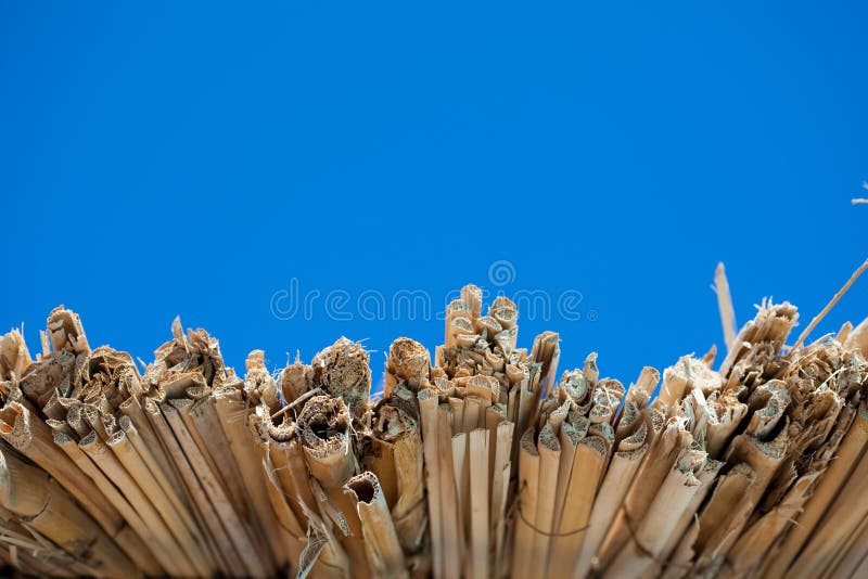 Straw structure stock photo. Image of texture, symmetrical - 9887156
