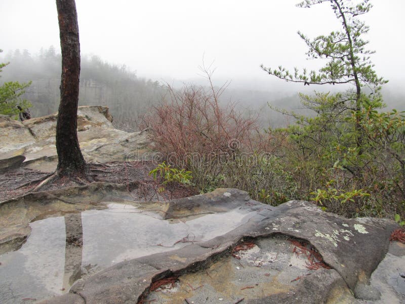 The Edge of a Tennessee Bluff Stock Photo - Image of mist, landscape ...