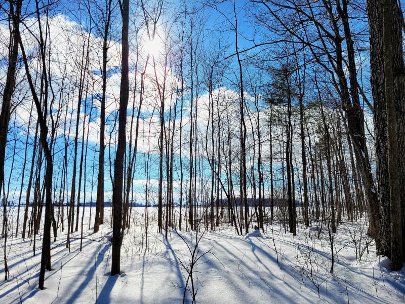 On the Edge in February stock photo. Image of lined - 272466588