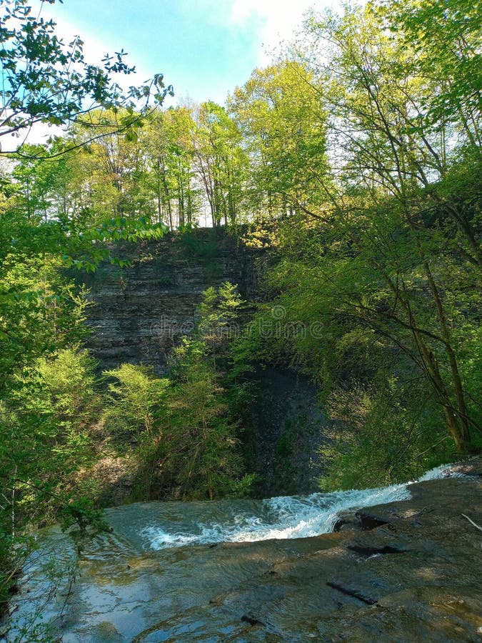 Edge of the waterfall. stock image. Image of green, garden - 247646403