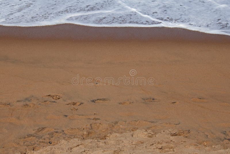 EDGE of WAVE on WET SAND on BEACH Stock Photo - Image of wavelets, edge ...