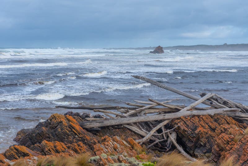 Edge of the World Lookout at Tasmania, Australia Stock Image - Image of ...
